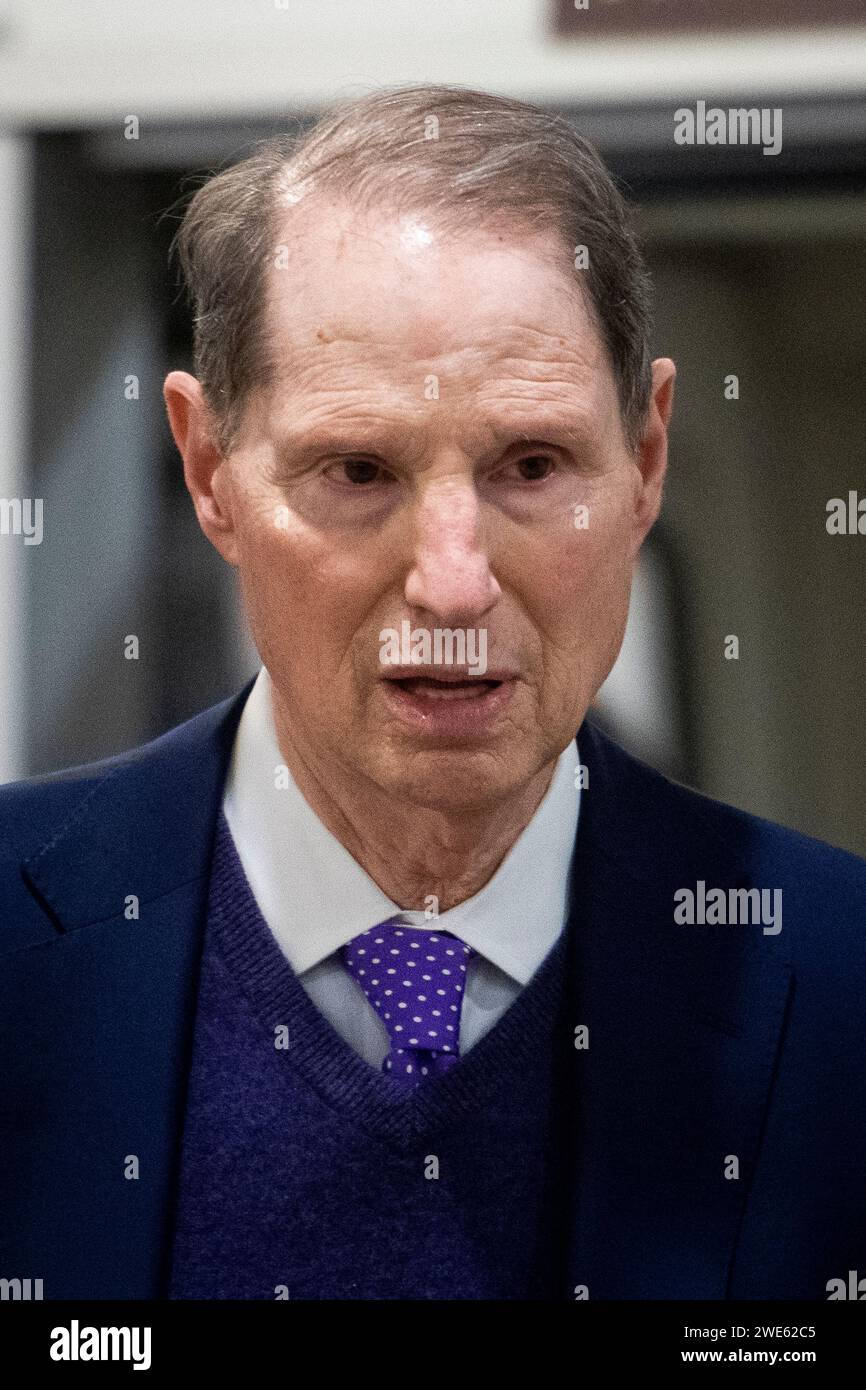 United States Senator Richard Blumenthal (Democrat of Connecticut ...