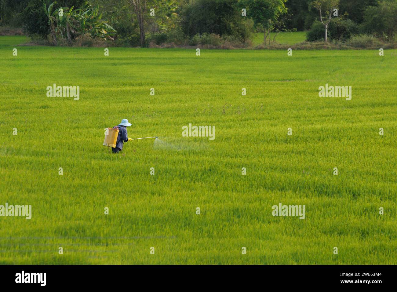Man irrigating fields, agriculture concept Stock Photo - Alamy