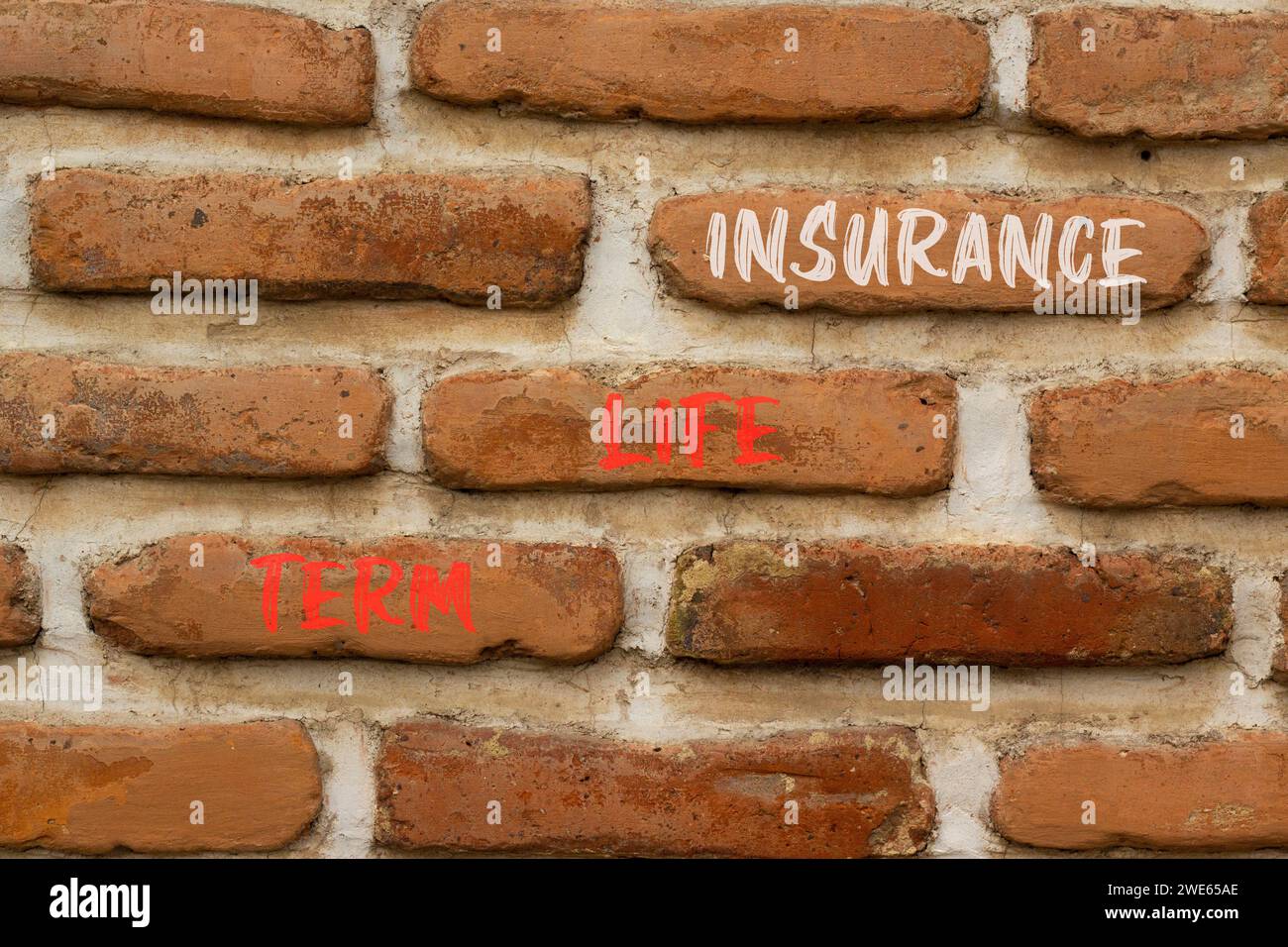 Term life insurance symbol. Concept words Term life insurance on ...