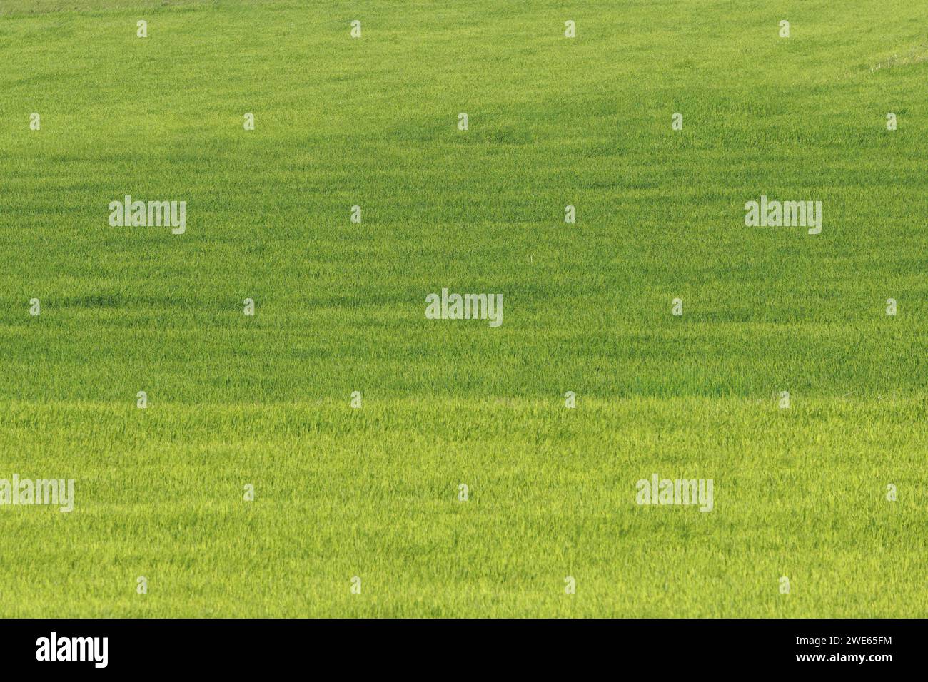 Garden mapping hi-res stock photography and images - Alamy