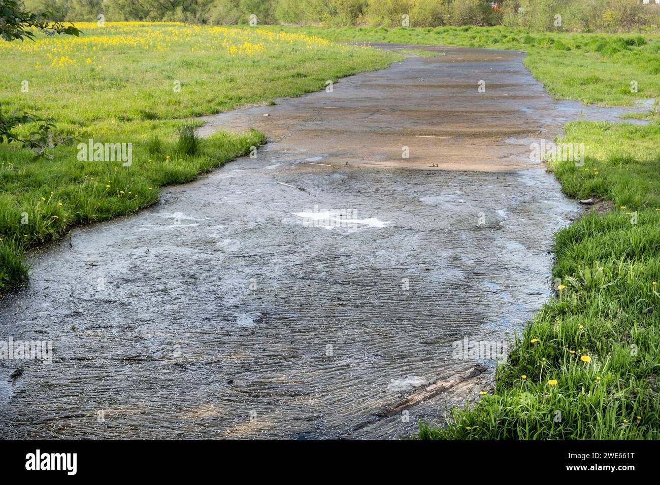 Stream with mud, environmental pollution concept Stock Photo - Alamy