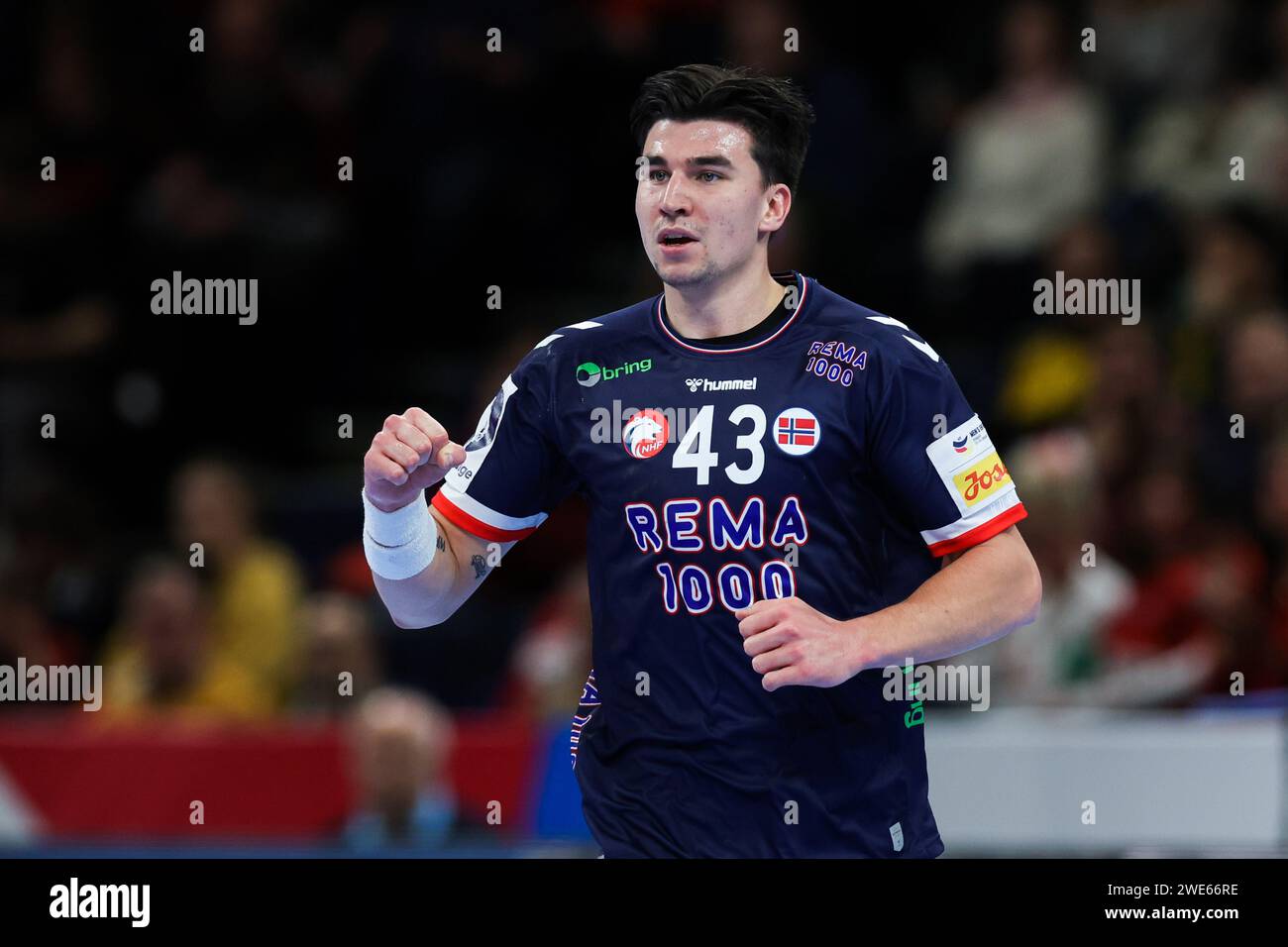 Hamburg, Germany. 23rd Jan, 2024. Handball: European Championship ...