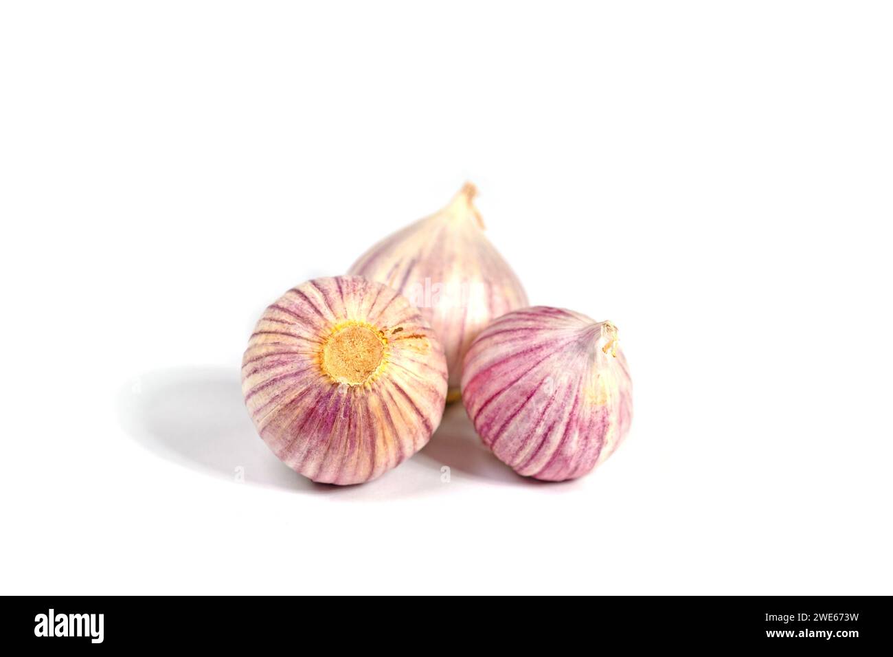 Solo garlic against a white background Stock Photo - Alamy