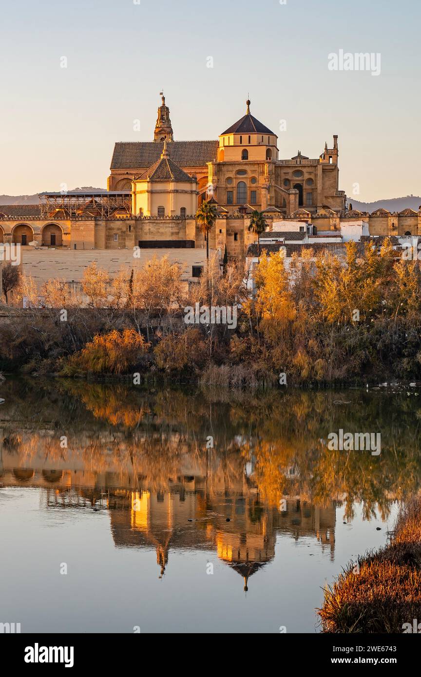 Mezquita – the great mosque of Cordoba, Spain Stock Photo - Alamy