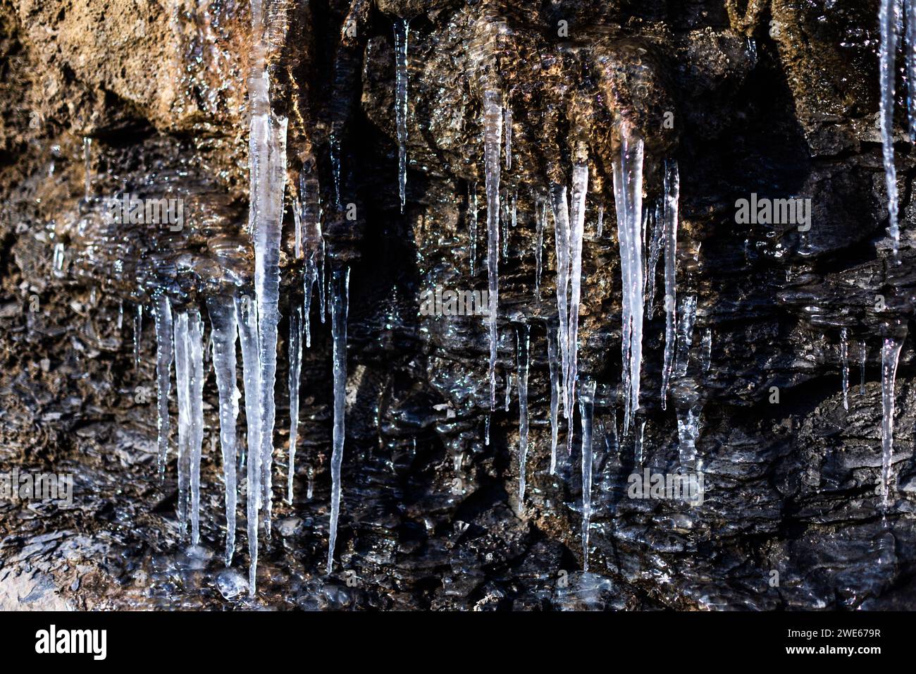 Recce, during the Rallye Automobile Monte Carlo 2024, 1st round of the ...