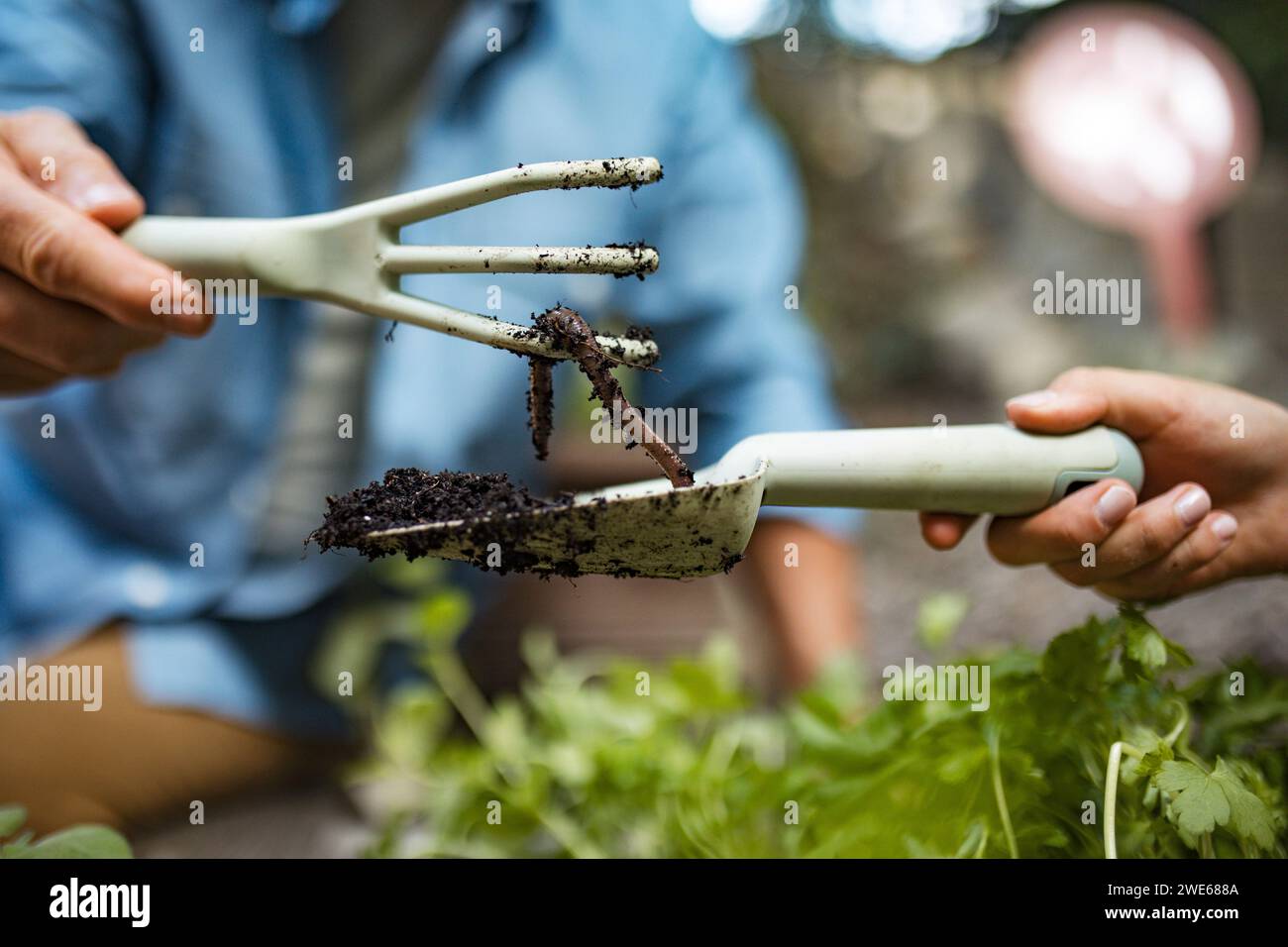 Close up woman gardener hand hi-res stock photography and images - Alamy