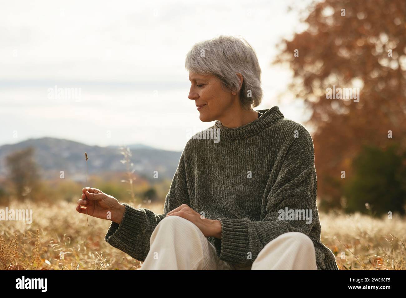 Short twig hi-res stock photography and images - Alamy