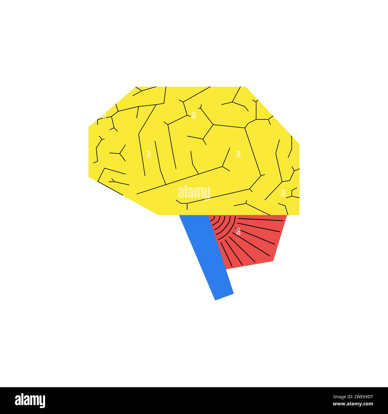 Concept of human brain anatomy in geometric patchwork style. Graphic ...