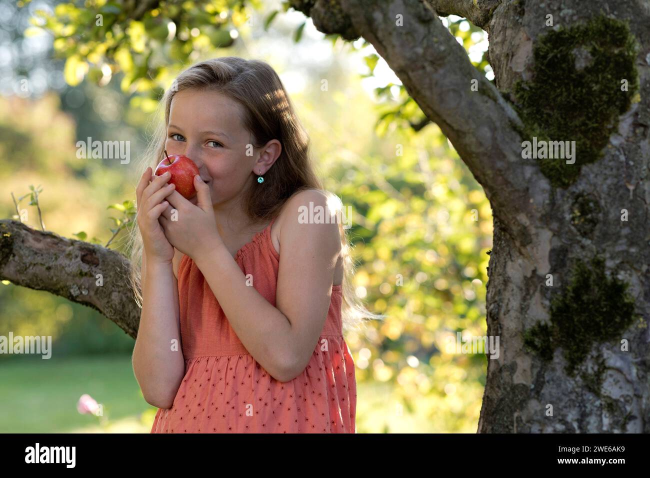 Smelling apple hi-res stock photography and images - Alamy