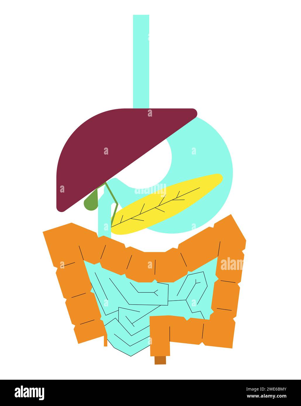 Concept of human digestive system build by abstract shapes. Flat ...