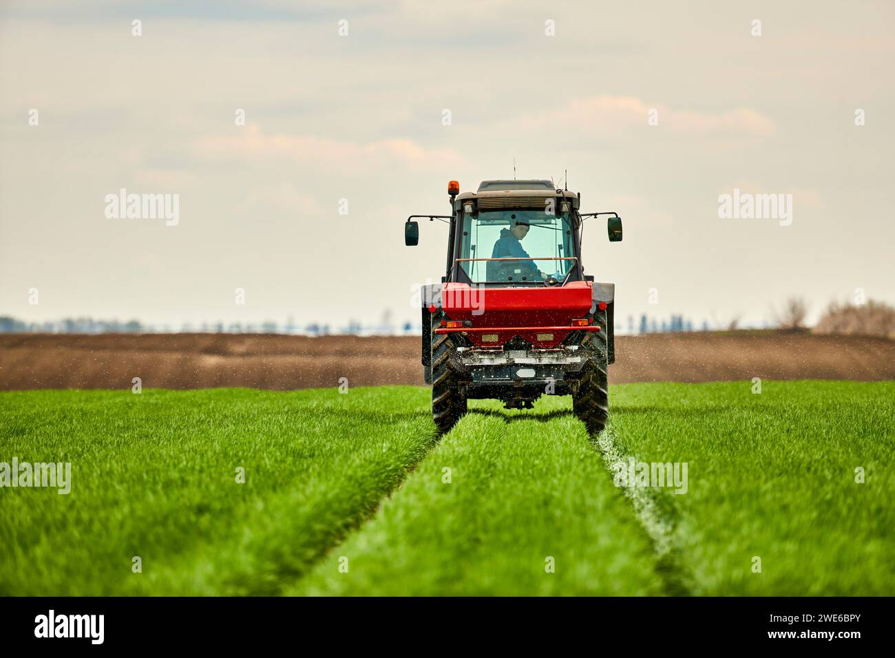 Farmer in tractor fertilizing wheat field Stock Photo - Alamy