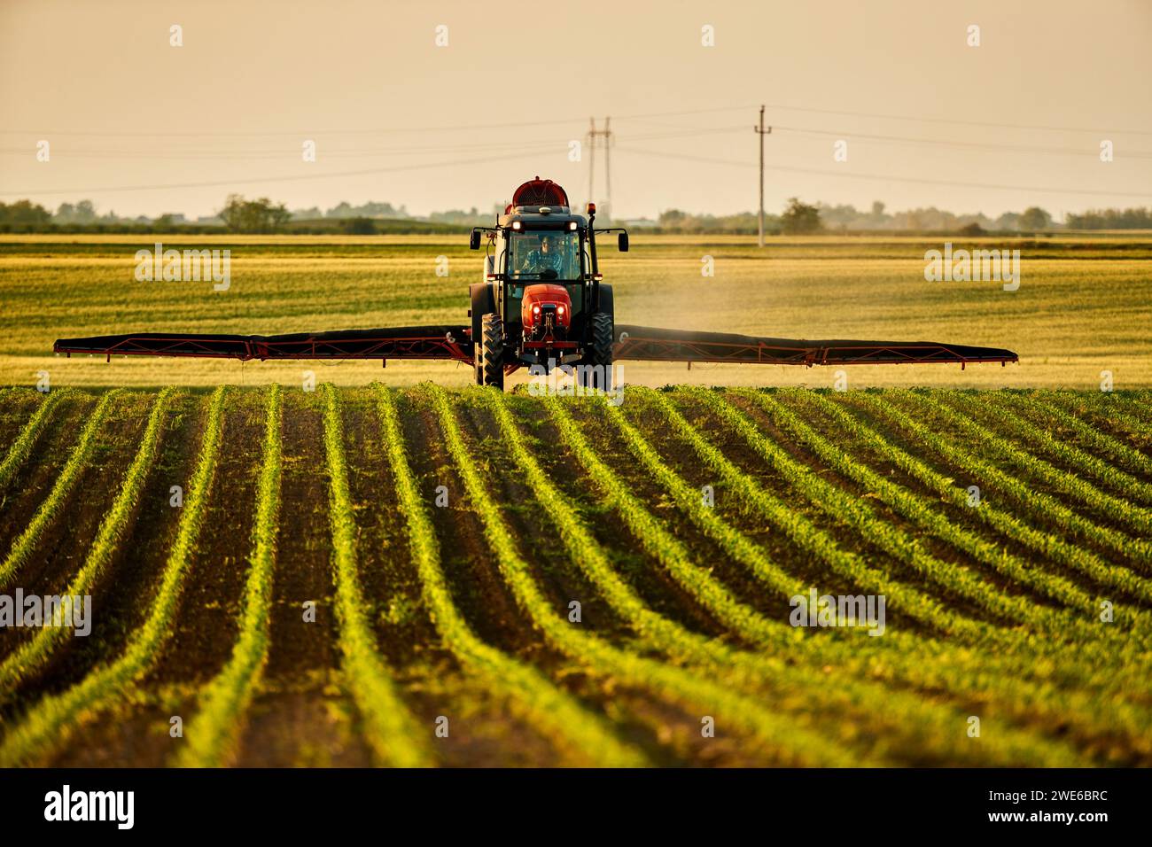Farmer in tractor fertilizing corn field at sunset Stock Photo - Alamy