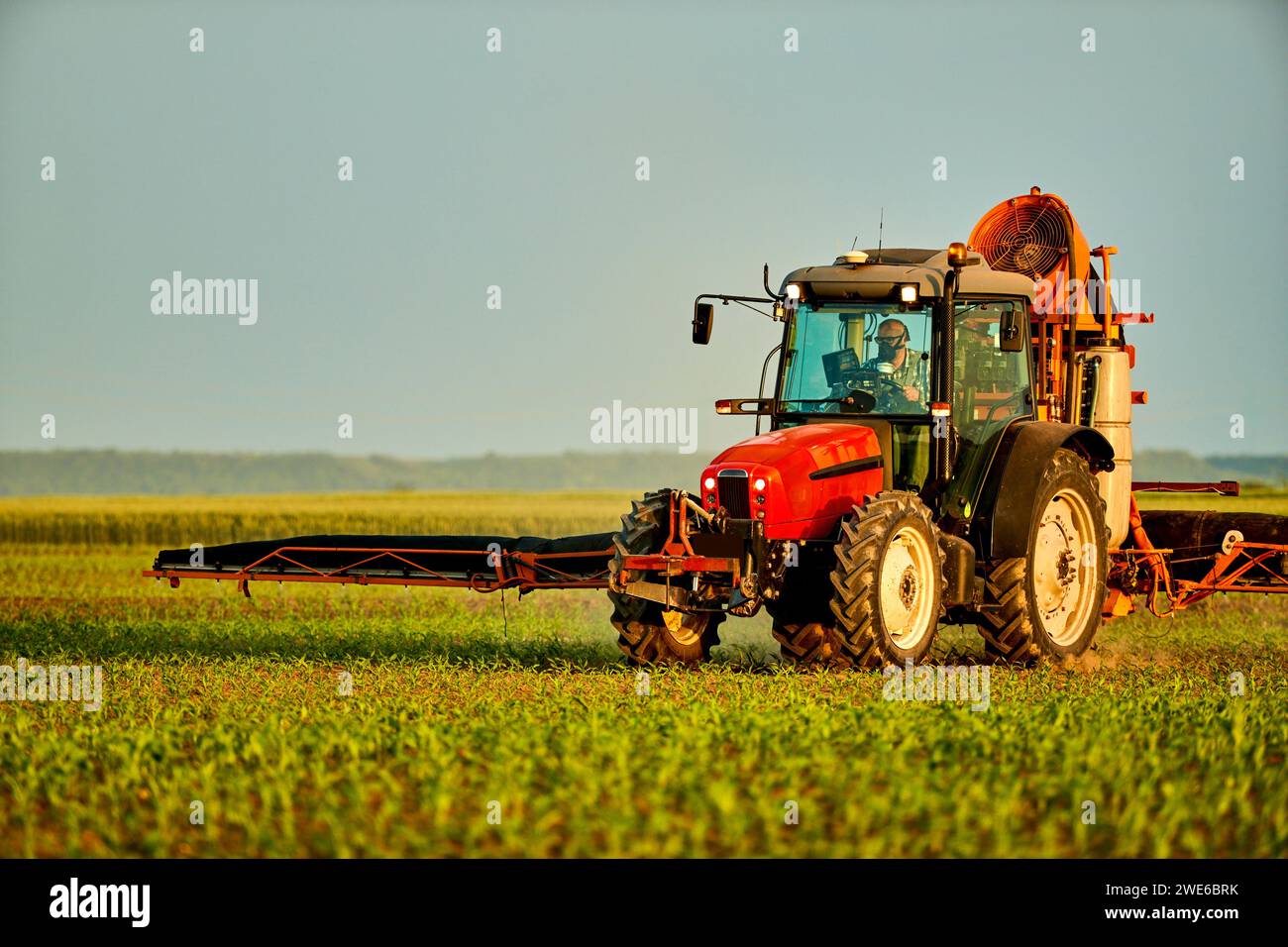 Farmer in tractor fertilizing corn field at sunset under sky Stock ...