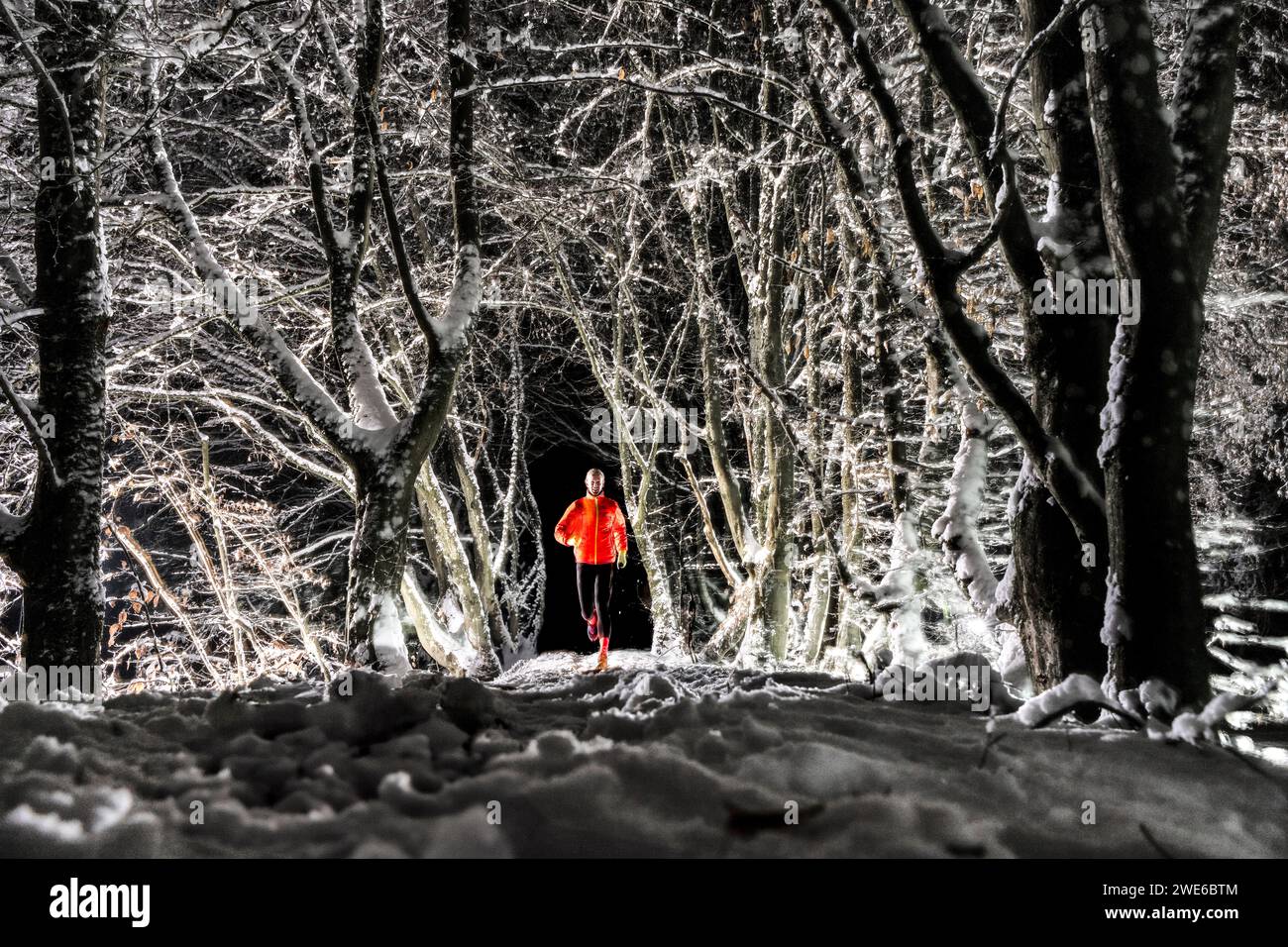 Night move under trees hi-res stock photography and images - Alamy