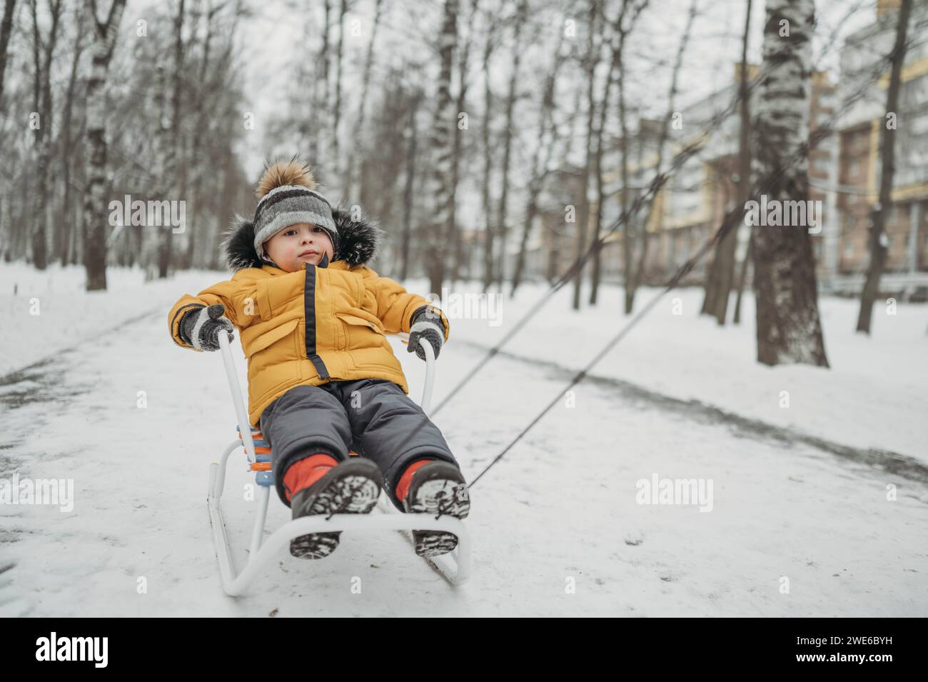 Boy sitting in sled on snow in front of trees Stock Photo - Alamy