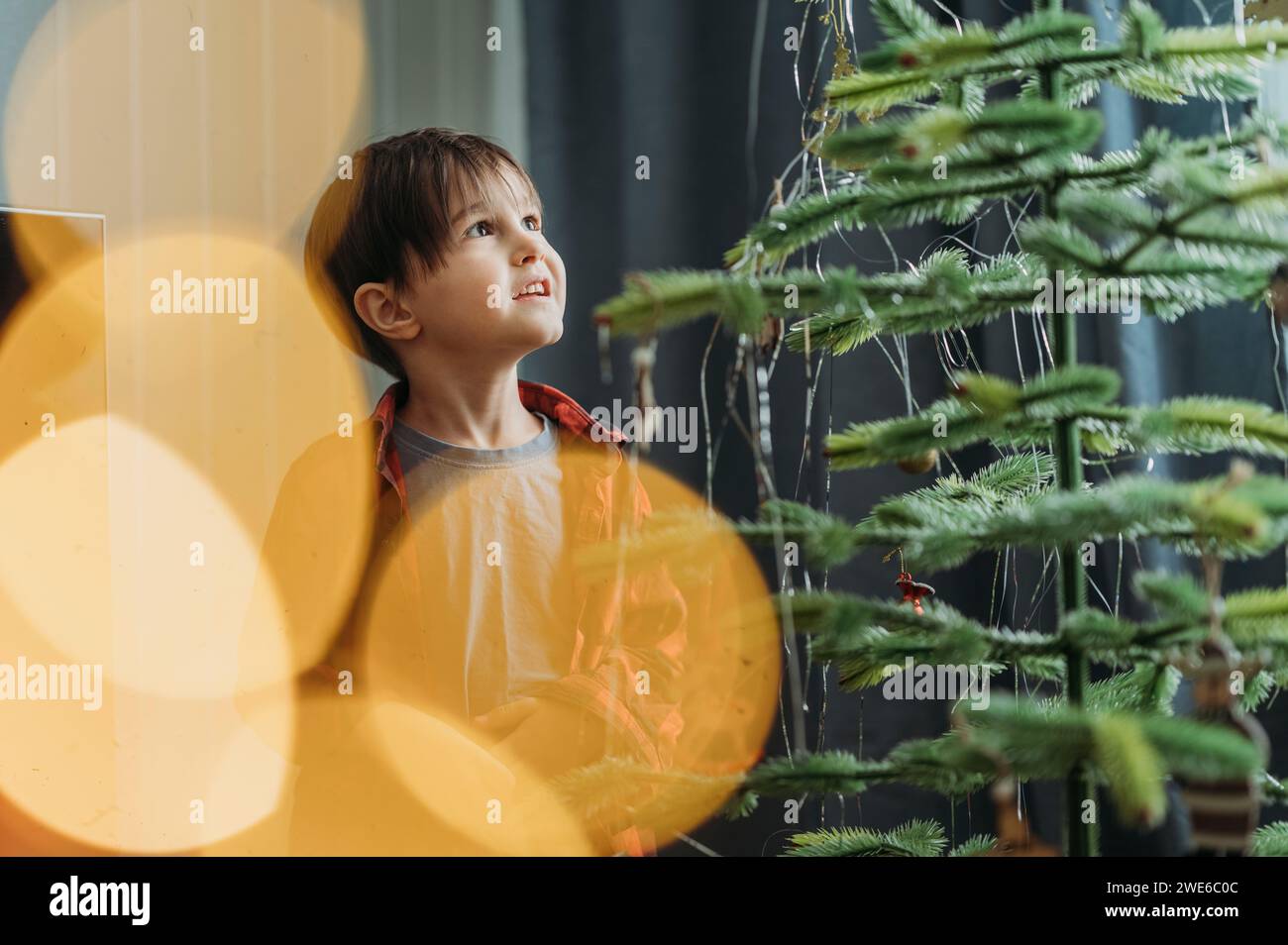 Admiring the tree hi-res stock photography and images - Alamy