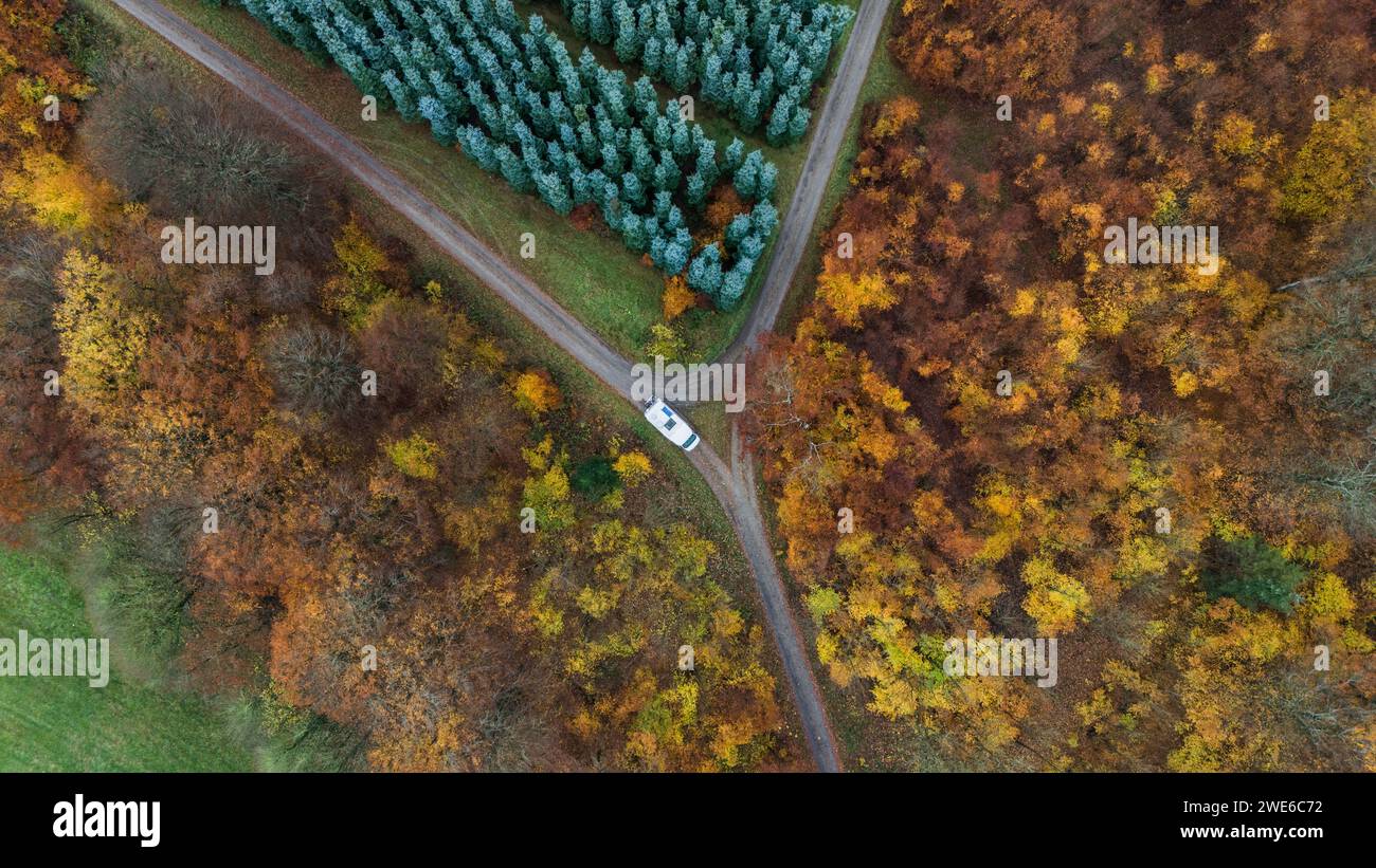 Car on road trees hi-res stock photography and images - Alamy