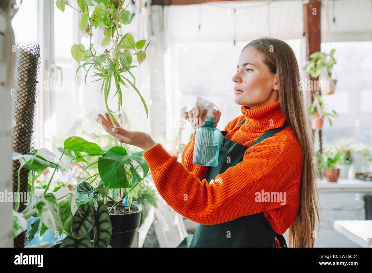 Spraying water on plants hi-res stock photography and images - Alamy