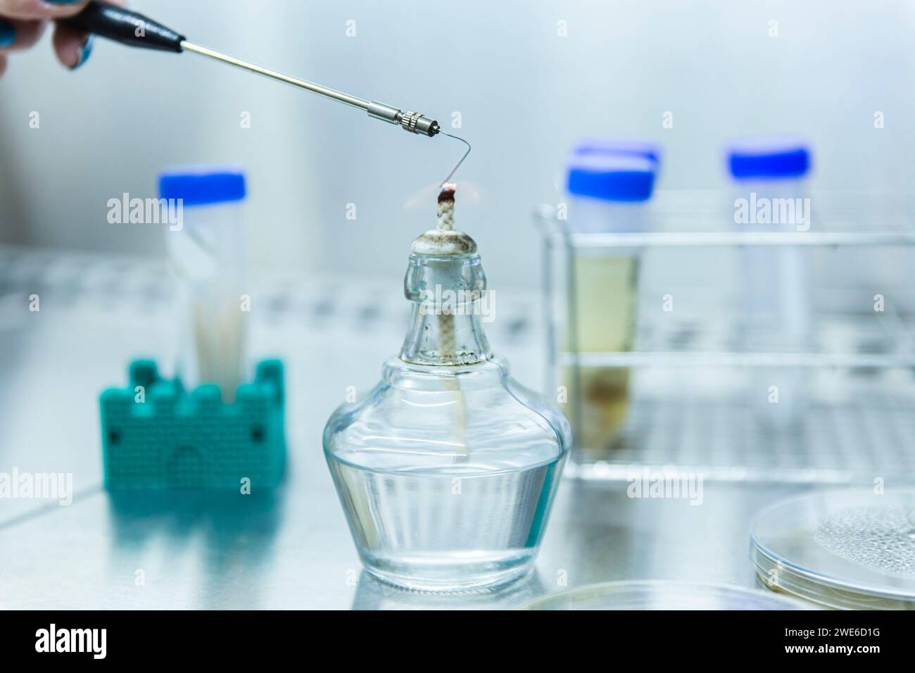 Scientist sterilizing inoculation loop at laboratory Stock Photo - Alamy