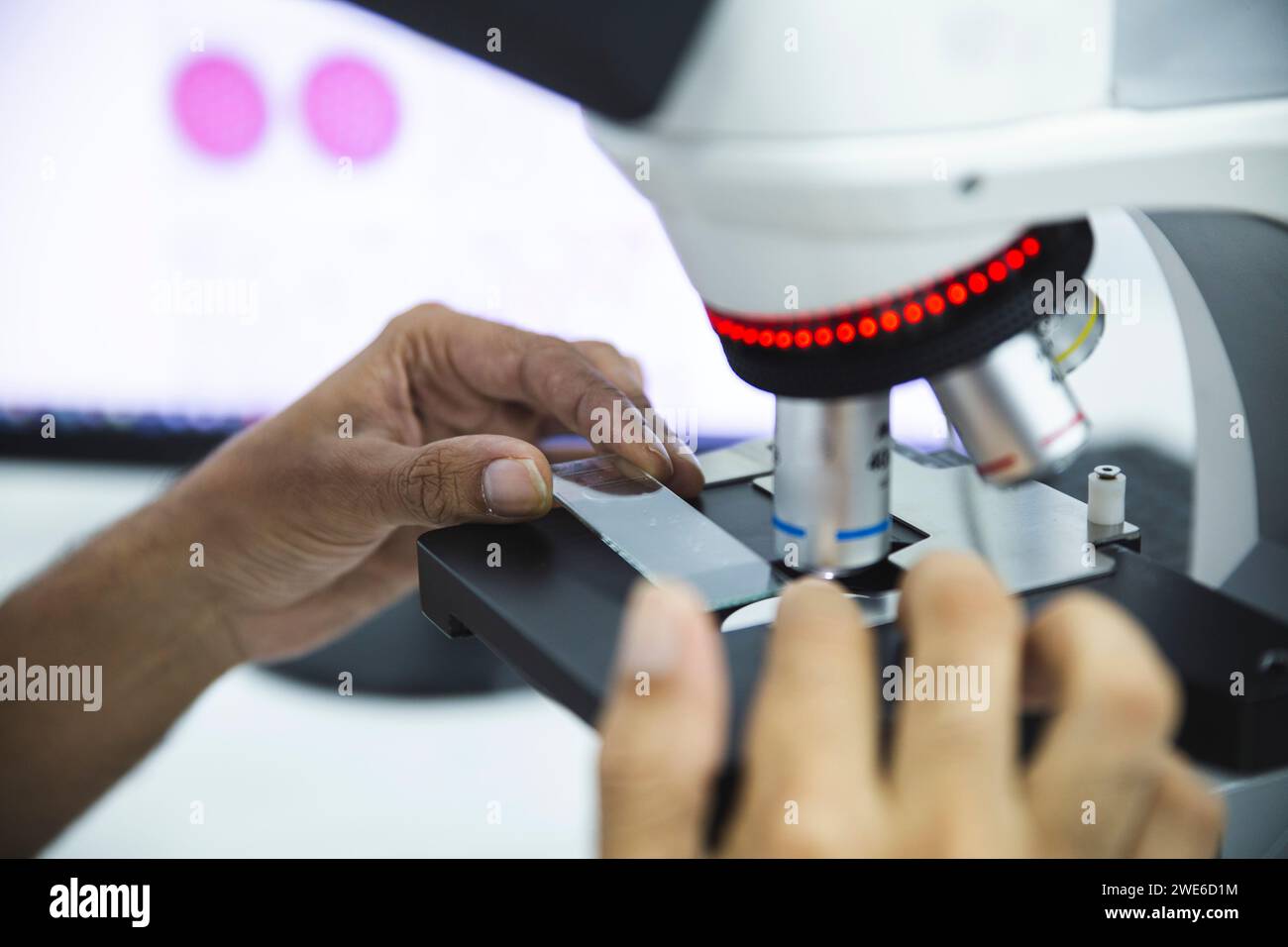 Scientist positioning microscope slide for examining samples at ...