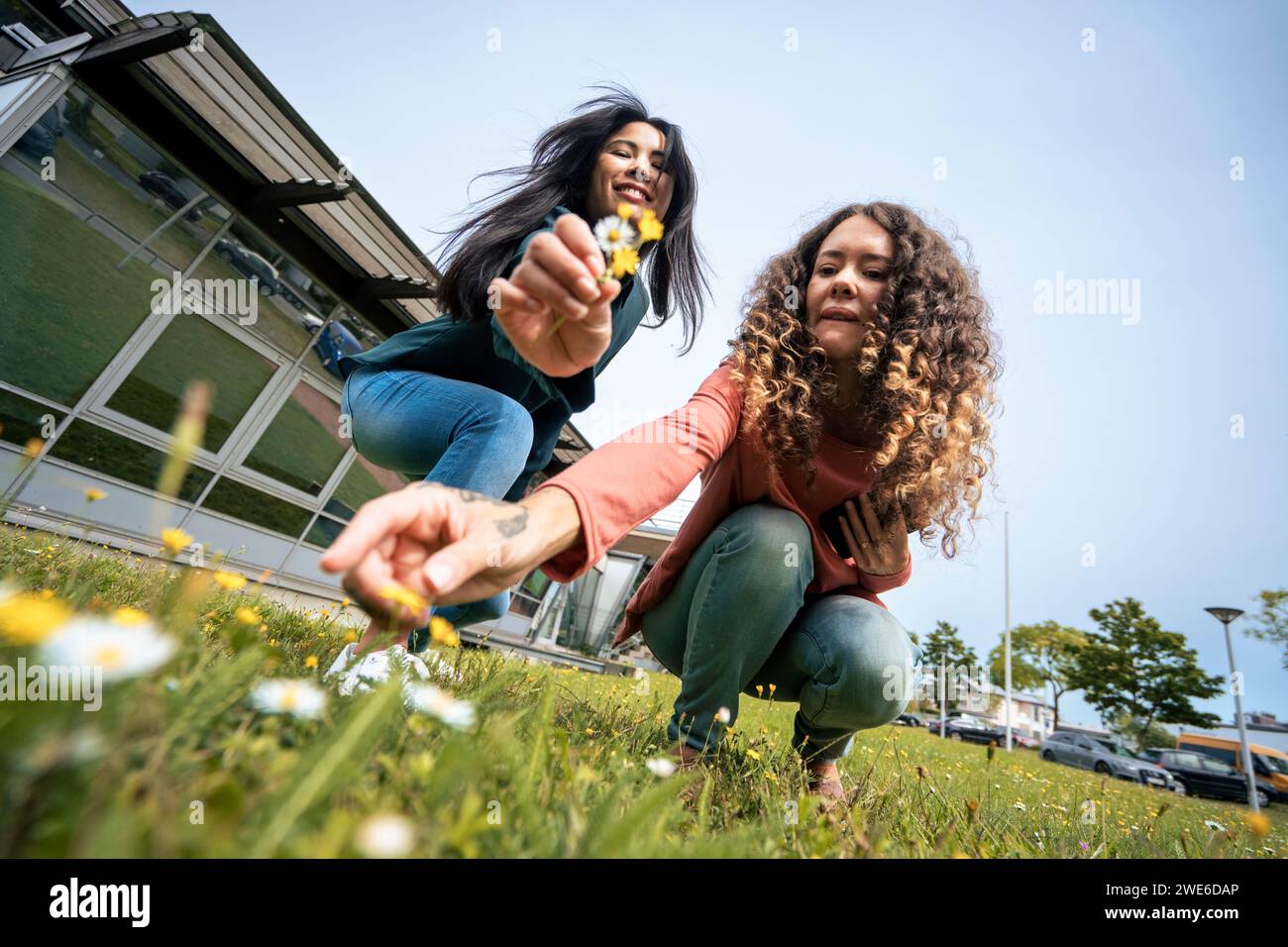 Two young women plucking hi-res stock photography and images - Alamy
