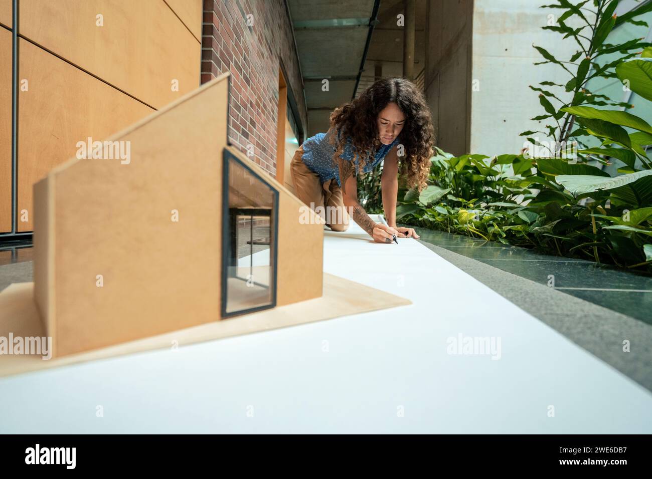 Young architect drawing on blueprint in corridor Stock Photo - Alamy