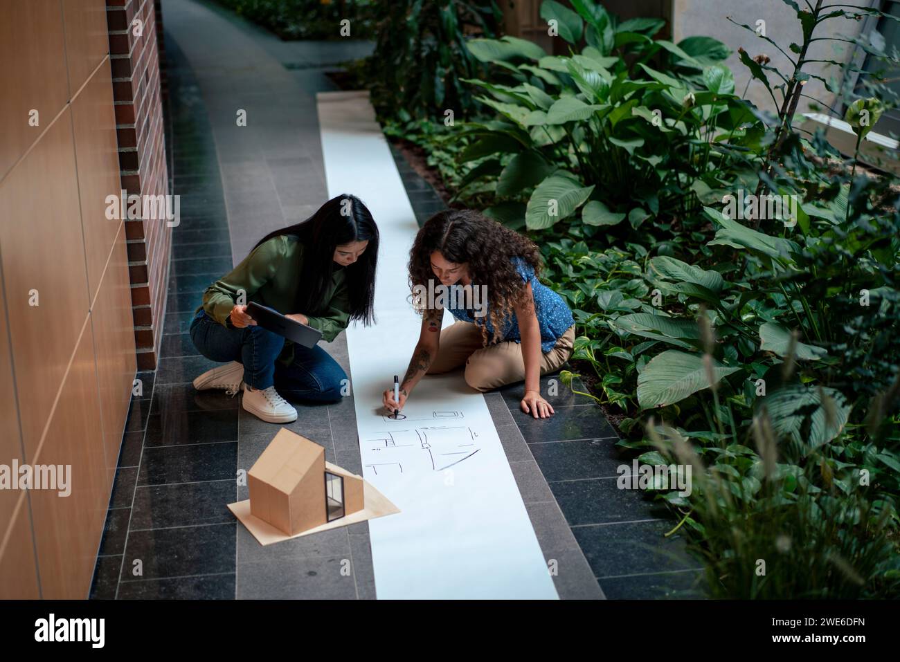 Young architect drawing on blueprint by colleague in corridor Stock ...
