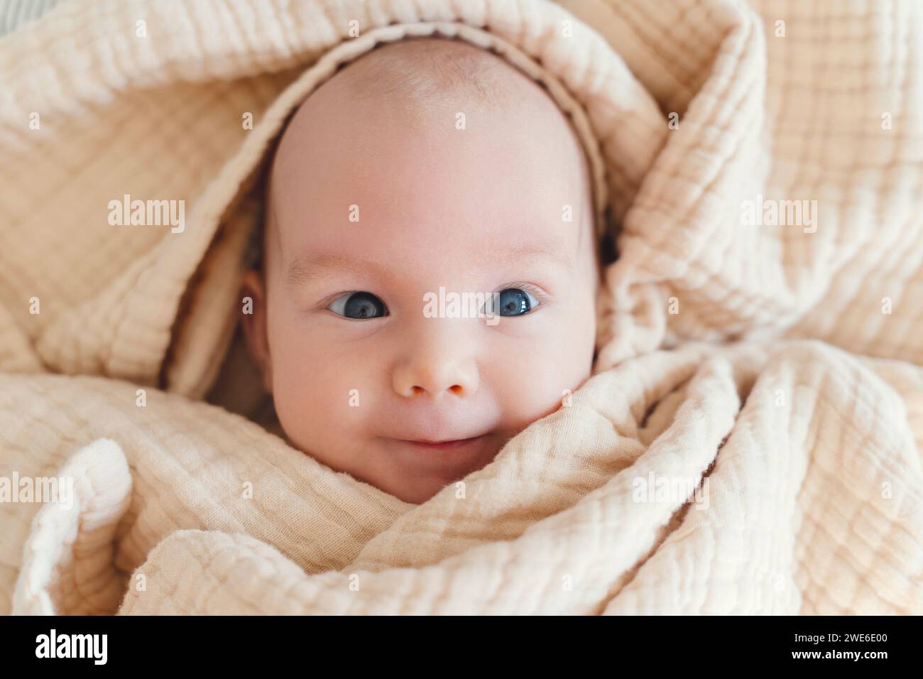 Cute wrapped hi-res stock photography and images - Alamy