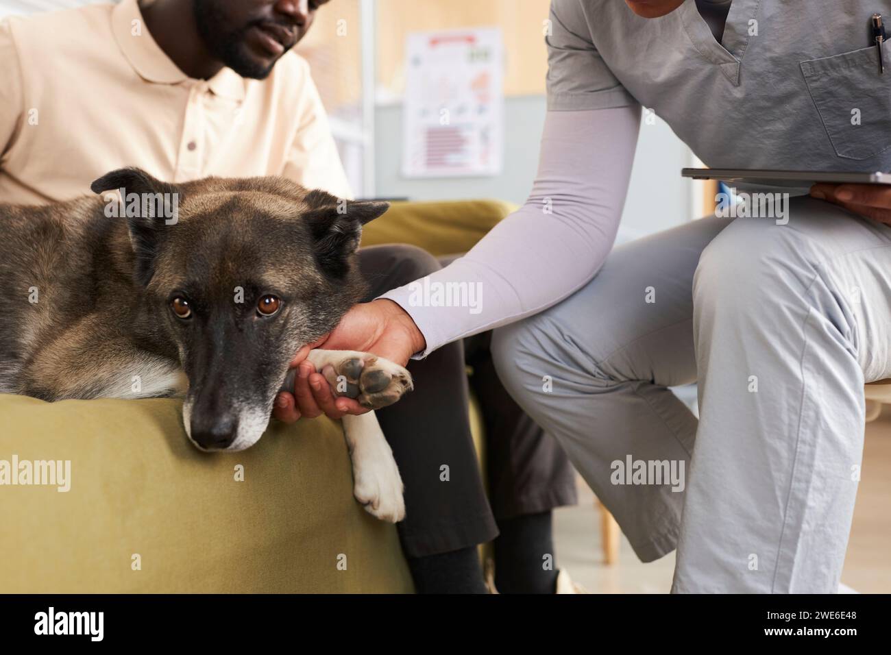 Women holding group of dogs hi-res stock photography and images - Alamy