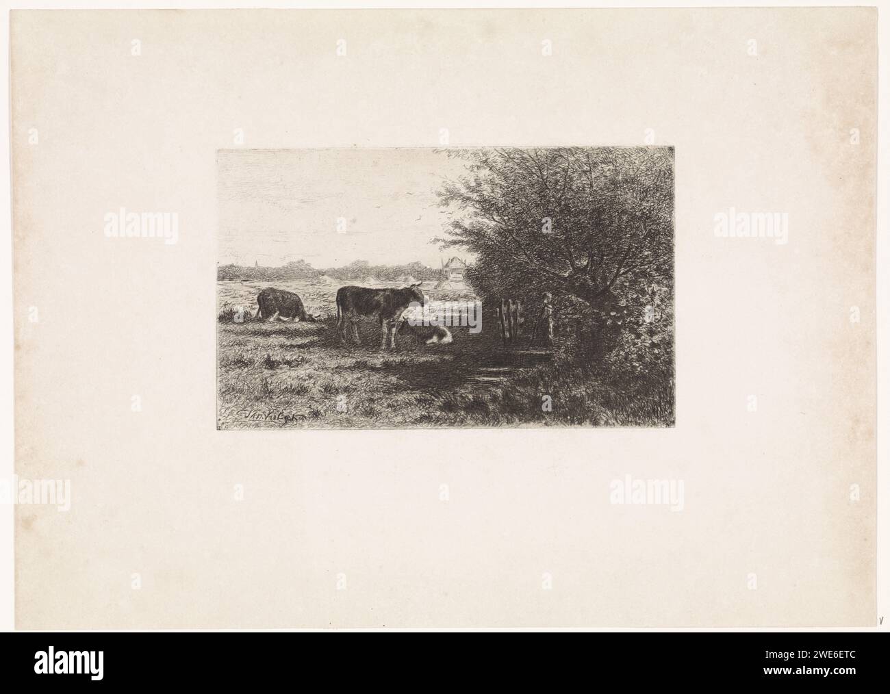 Cows in Weiland, Jan Vrolijk, 1860 - 1894 print Cows are in a meadow ...