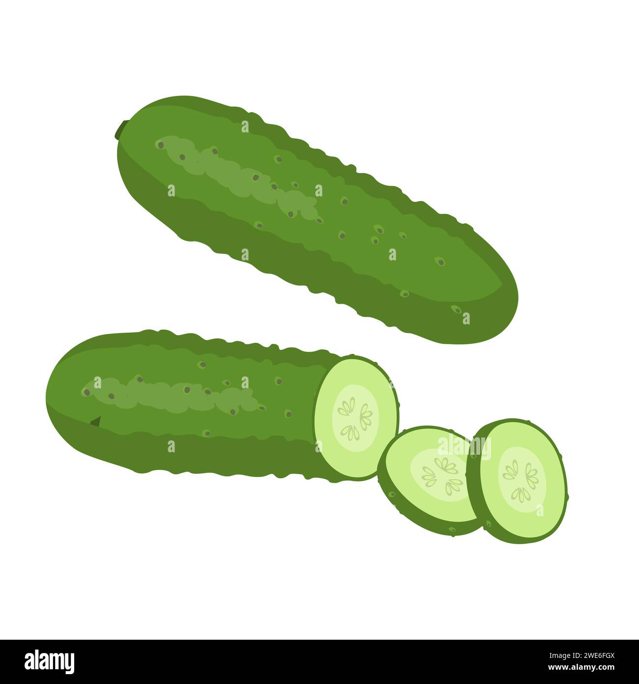 Cucumber and slices isolated illustration in flat style Stock Vector ...