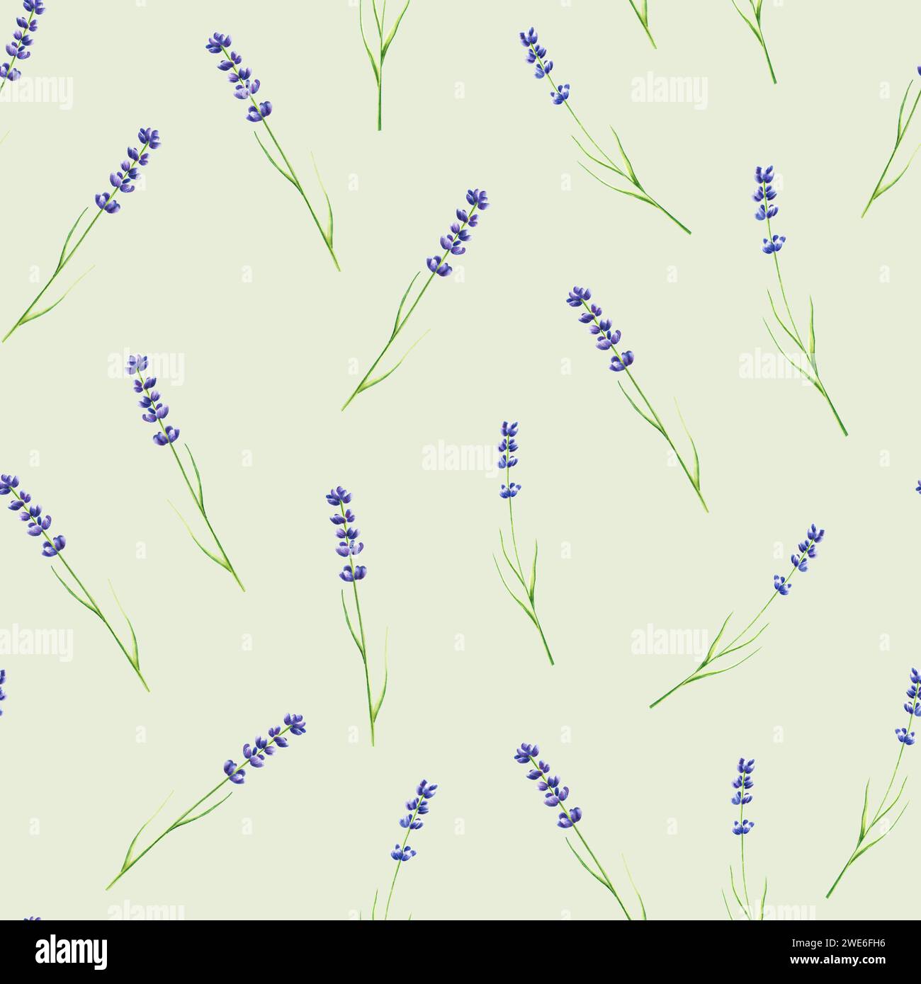 Watercolor seamless pattern with lavender illustration isolated on ...
