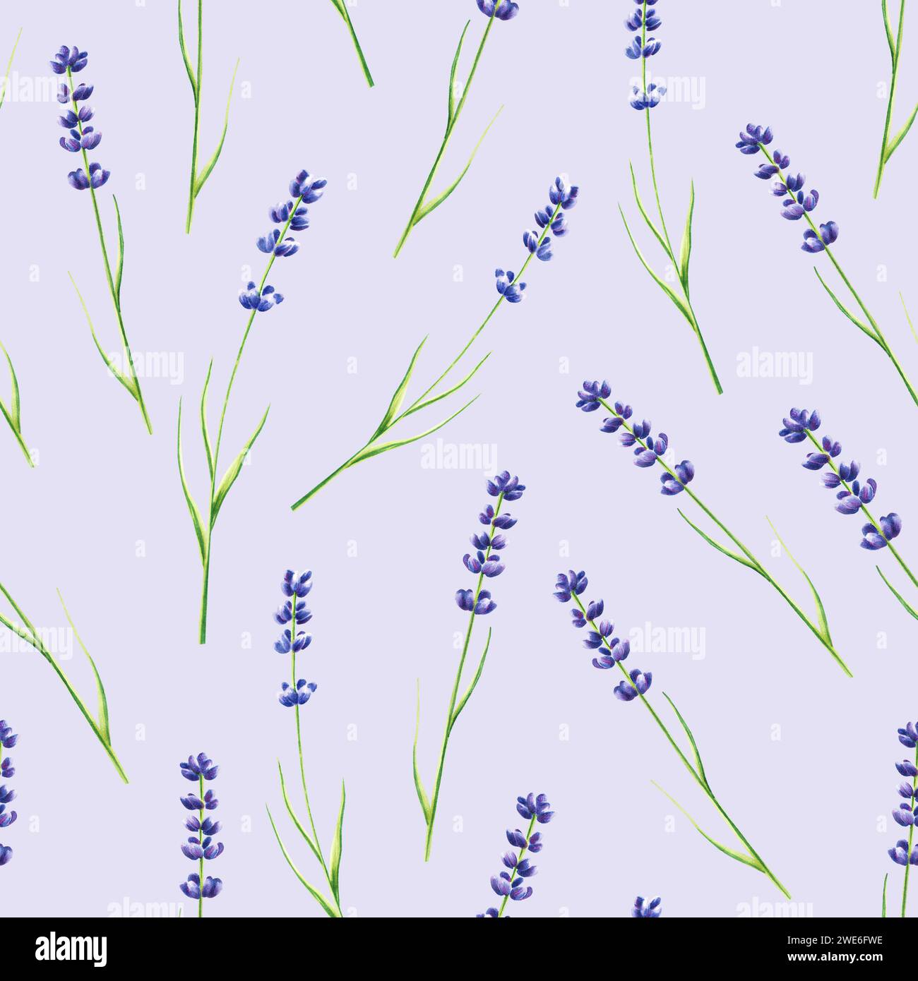 Watercolor seamless pattern with lavender illustration isolated on ...