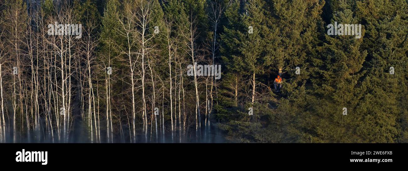 Deer hunter hi-res stock photography and images - Alamy