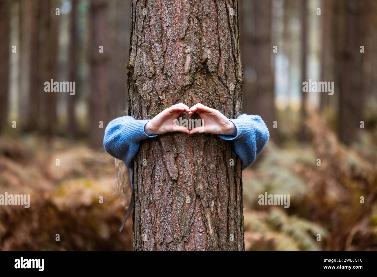 Woman hand over heart hi-res stock photography and images - Alamy