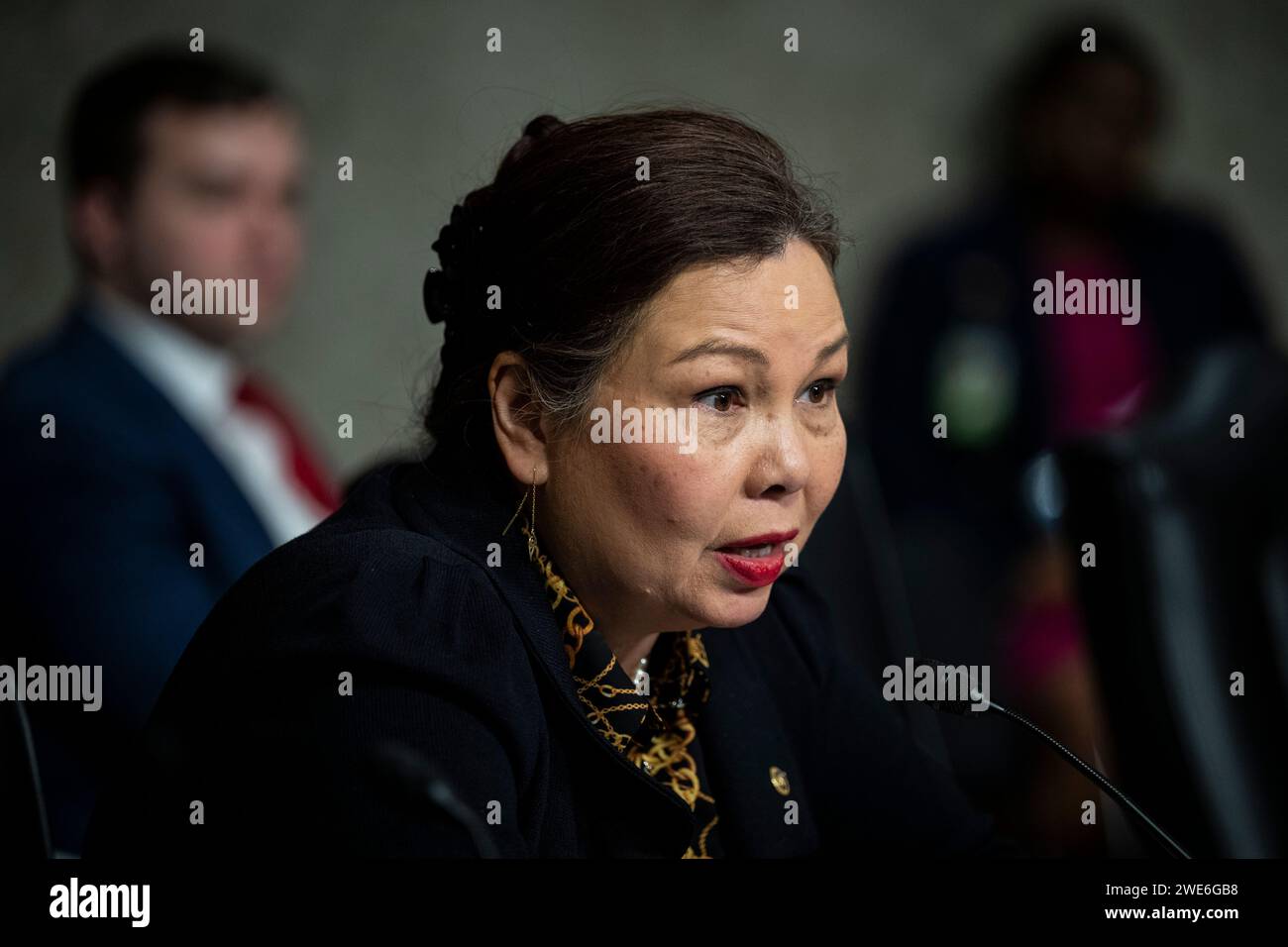 Washington, USA. 23rd Jan, 2024. Senator Tammy Duckworth (D-IL ...