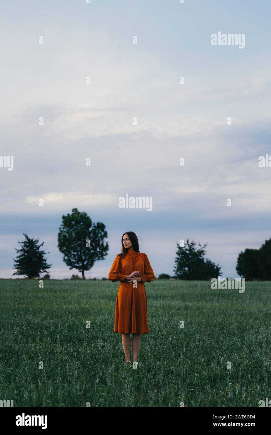 Standing in tree in front of sunset hi-res stock photography and images ...