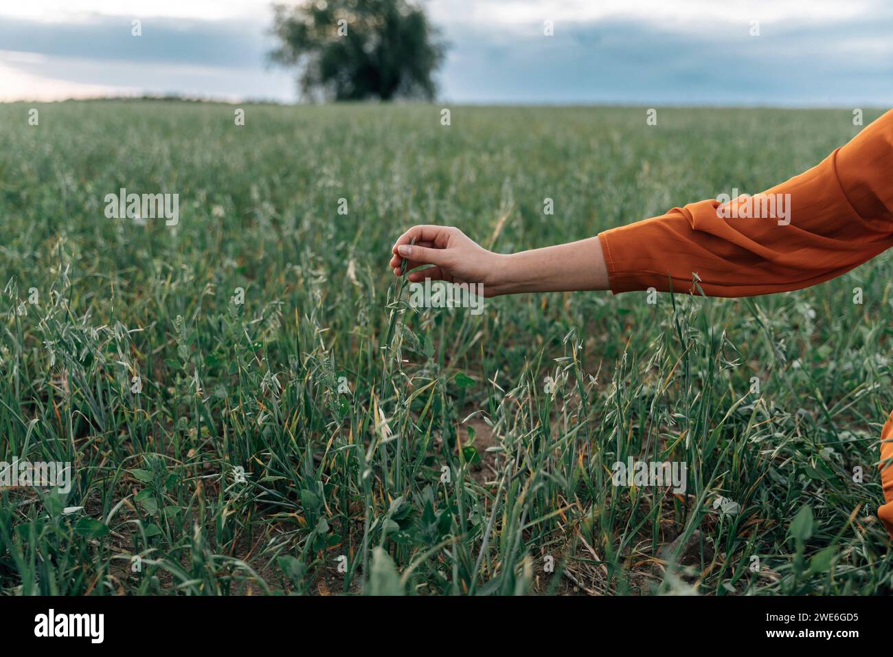 Woman hand holding ground hi-res stock photography and images - Alamy