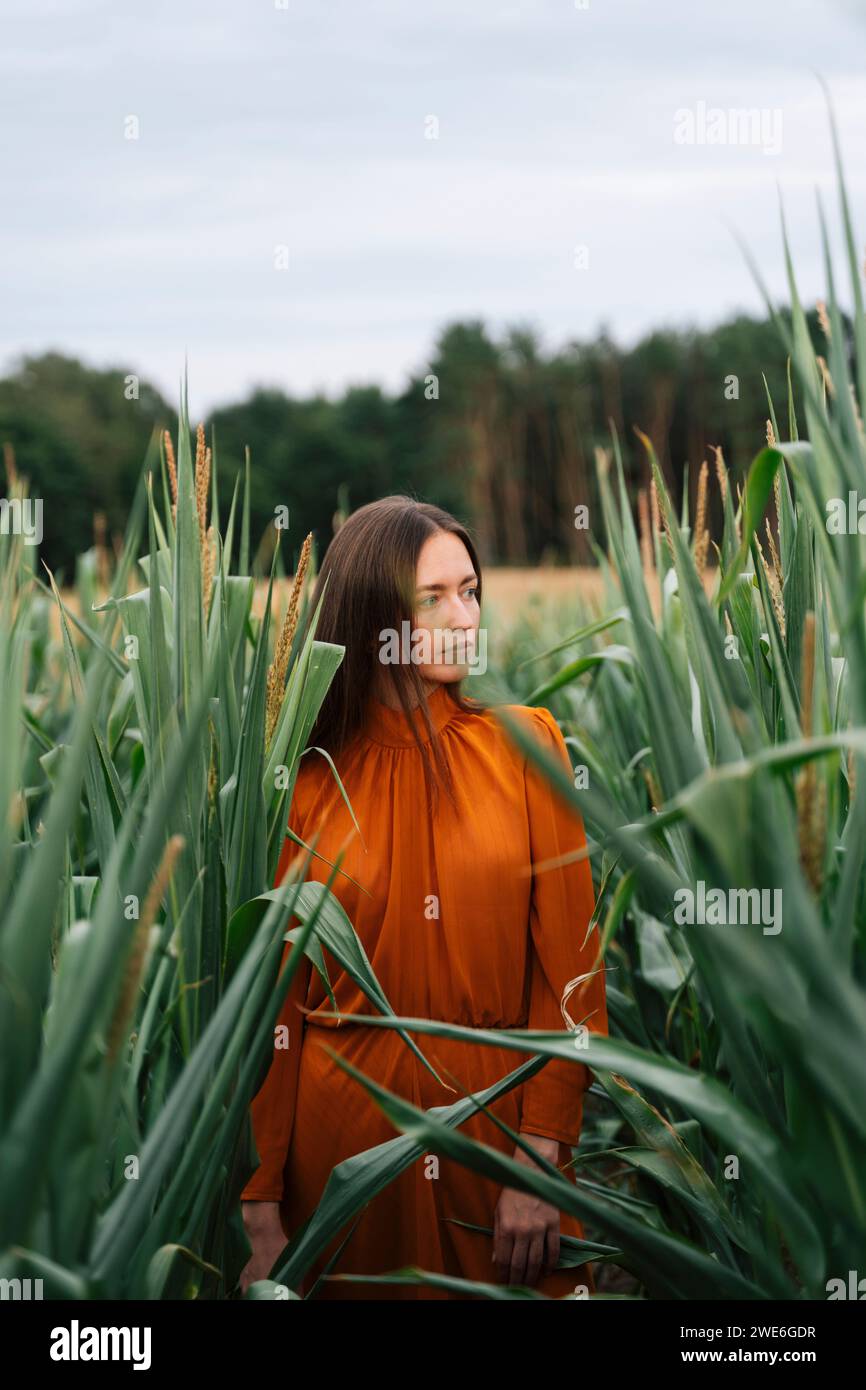 Thoughtful woman standing amidst corn crops in field Stock Photo - Alamy