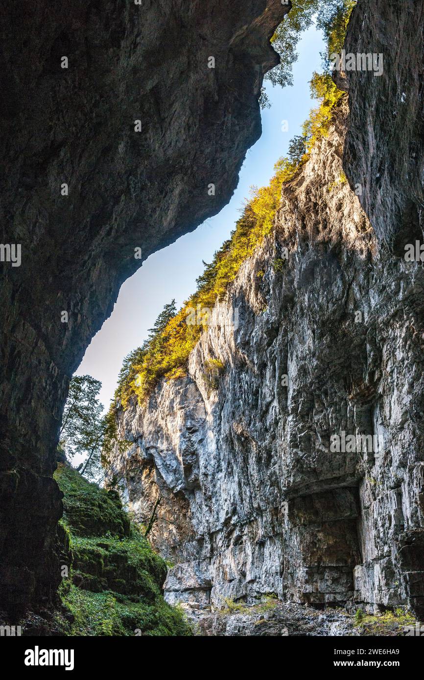 Germany, Bavaria, Steep wall of Breitachklamm canyon Stock Photo - Alamy