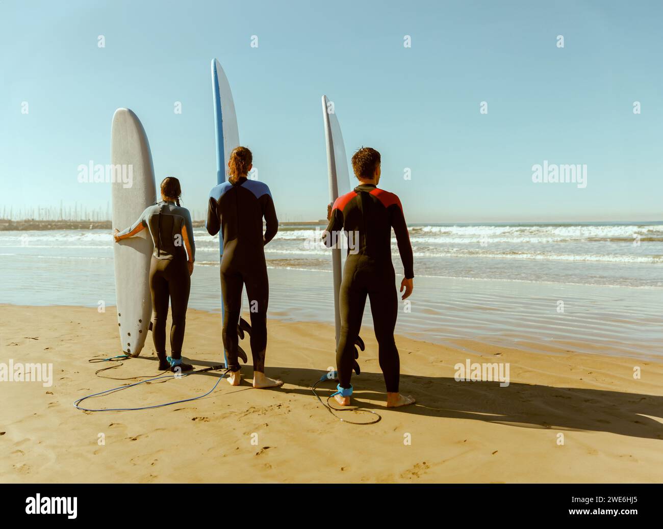 Back view of surfers in wetsuits standing with surfboards and looking ...