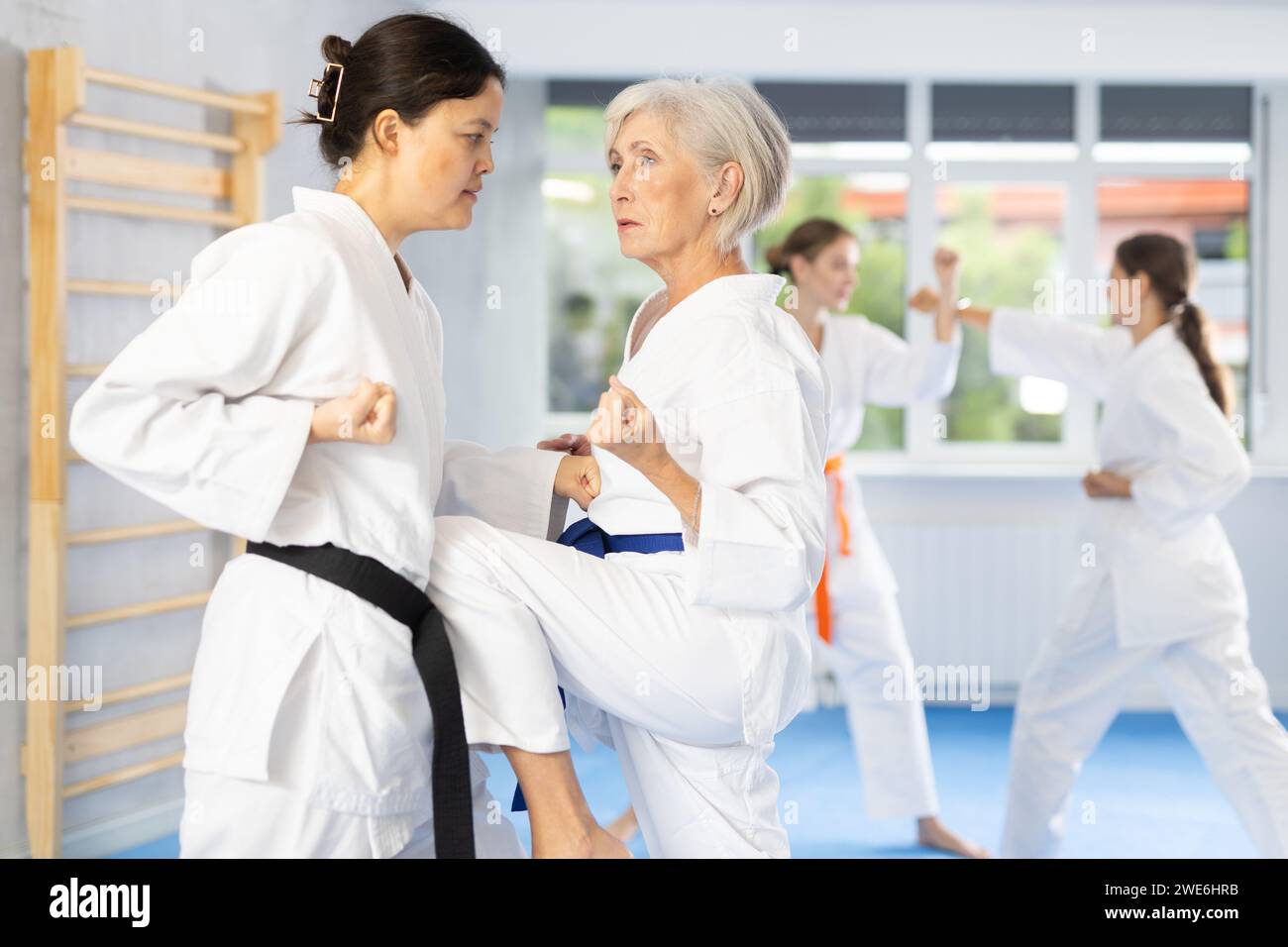Elderly woman in pair exercising karate movements during group training ...