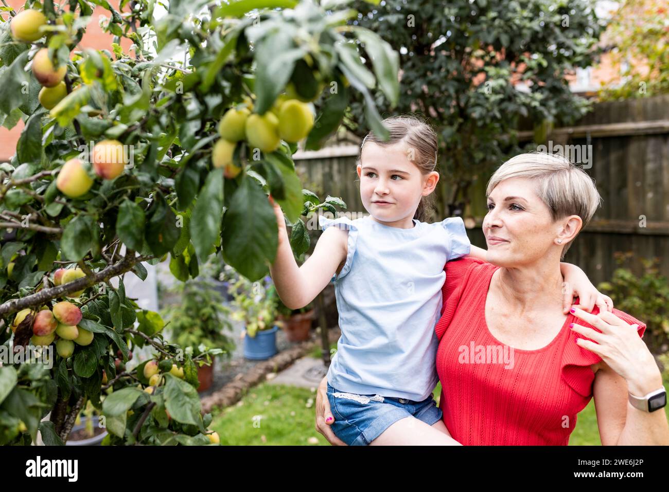 Mother carrying daughter picking fruits from tree in garden Stock Photo ...