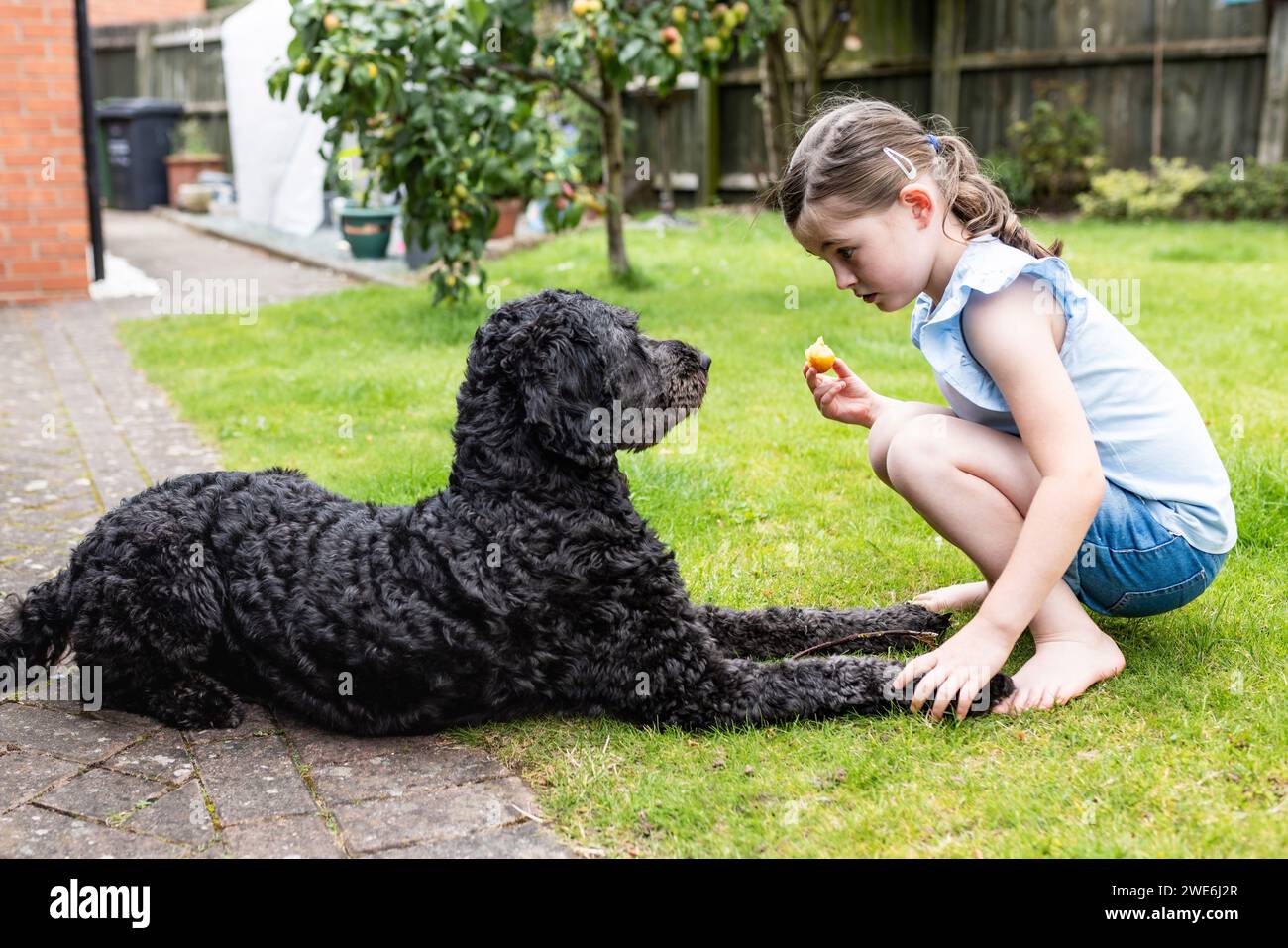 Black girl crouching on hi-res stock photography and images - Alamy