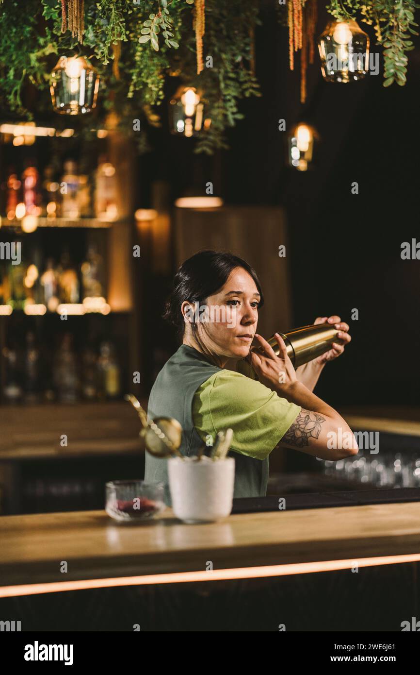 Bartender holding cocktail shaker and making drink in bar Stock Photo - Alamy