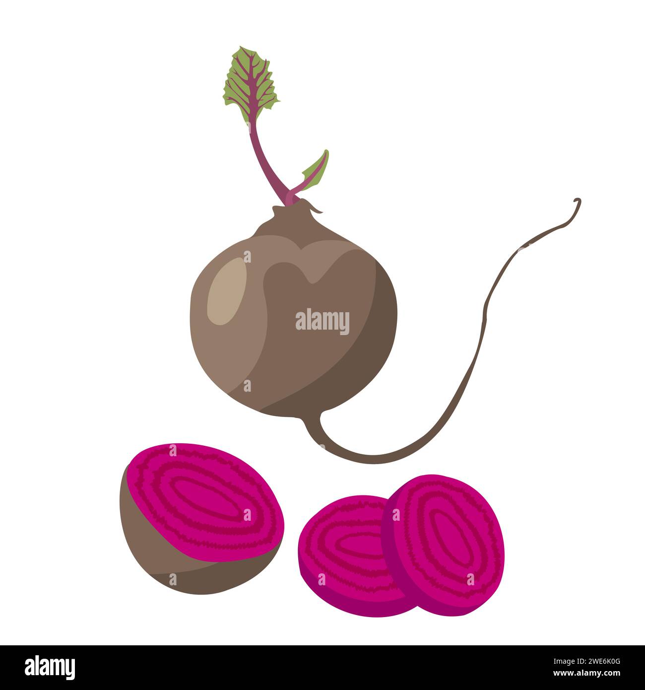 Set of beetroot and its slices Stock Vector Image & Art - Alamy
