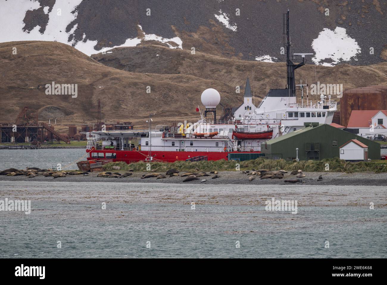 Settlement Grytviken, South Georgia Island, harbor, church, museum ...