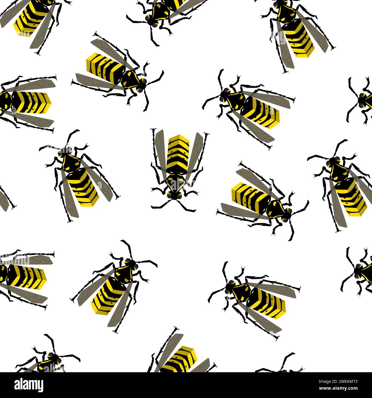 Abstract coloration of insects hi-res stock photography and images - Alamy