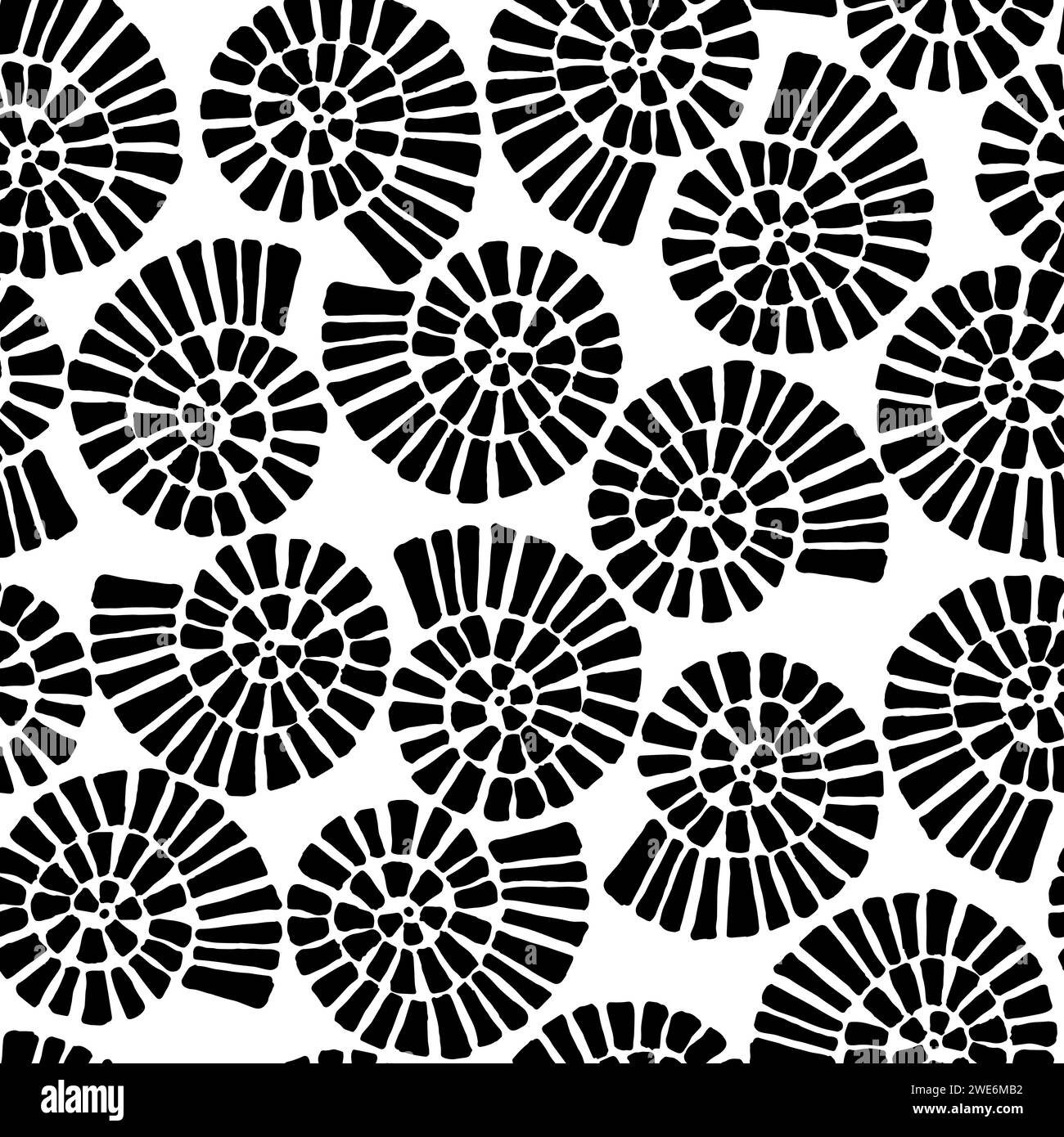 Doodle handdrawn set of seashells monochrome Stock Vector Image & Art ...