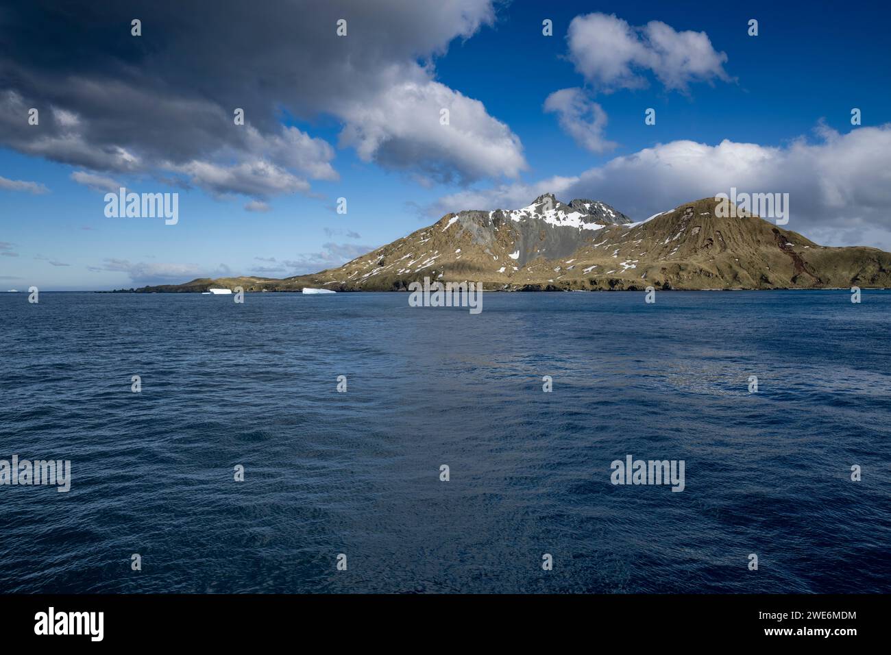South georgia island cliff hi-res stock photography and images - Alamy